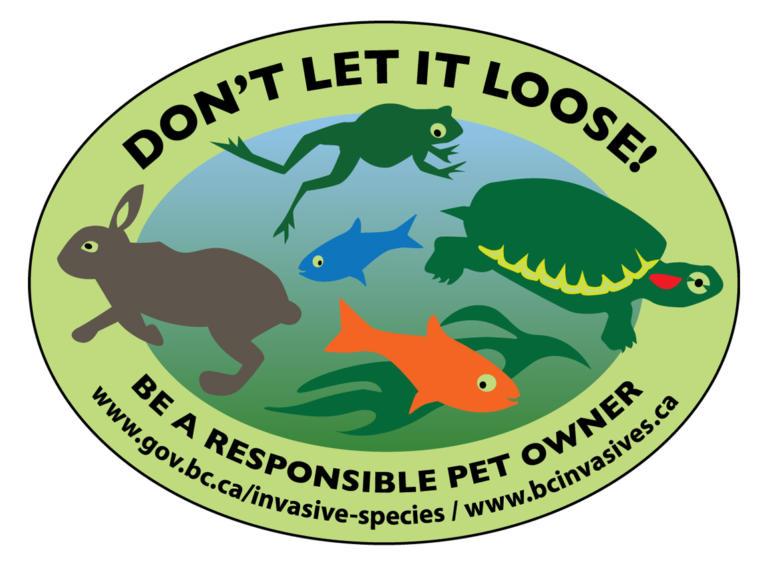 May is Invasive Species Action Month in BC to take action on preventing ... May is Invasive Species Action Month in BC to take action on preventing ...