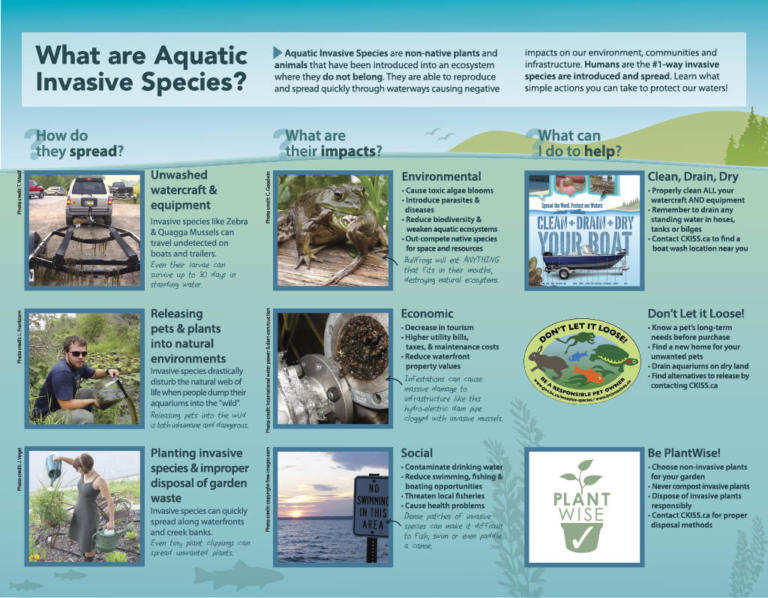 A new education tool to prevent the spread of harmful invasive species ...