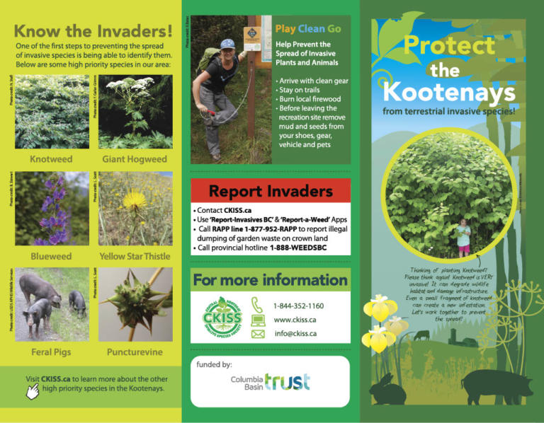 A new education tool to prevent the spread of harmful invasive species ...