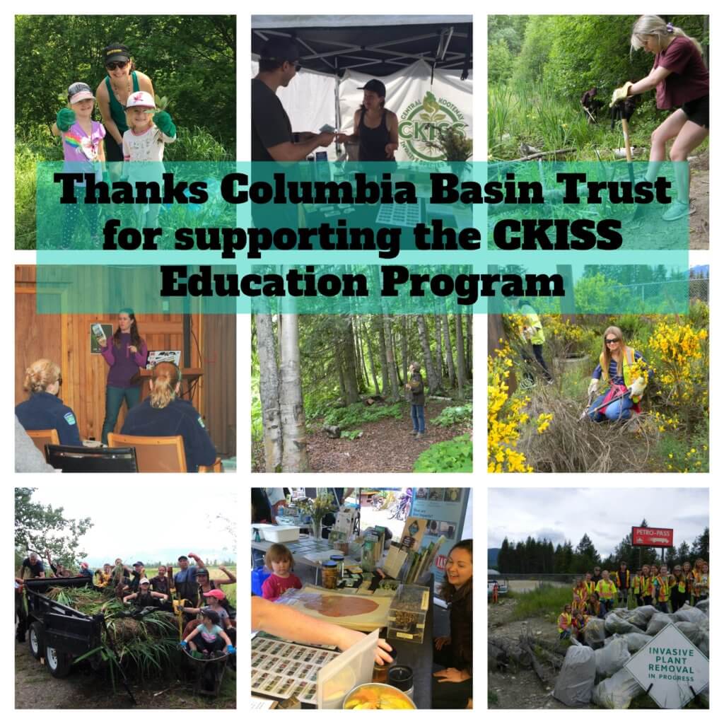 CKISS year in review, a snapshot of our 2019 supporters & programs ...