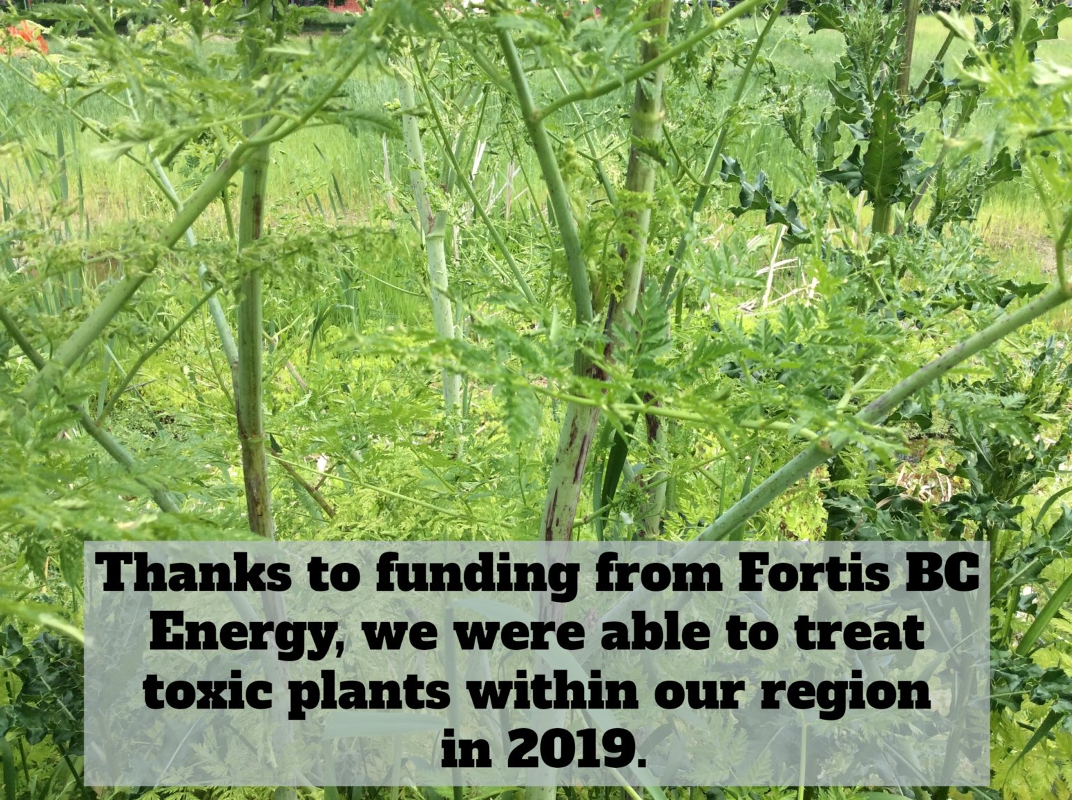 Fortis BC Energy - CKISS - Central Kootenay Invasive Species Society
