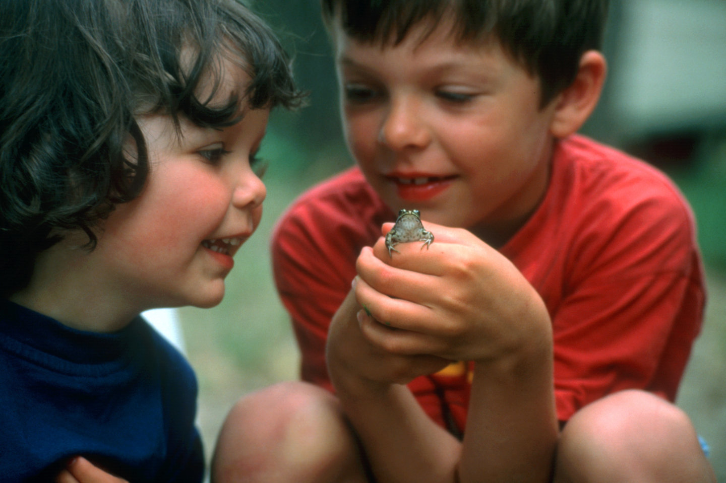 The History of American Bullfrog Control in the Central Kootenays ...