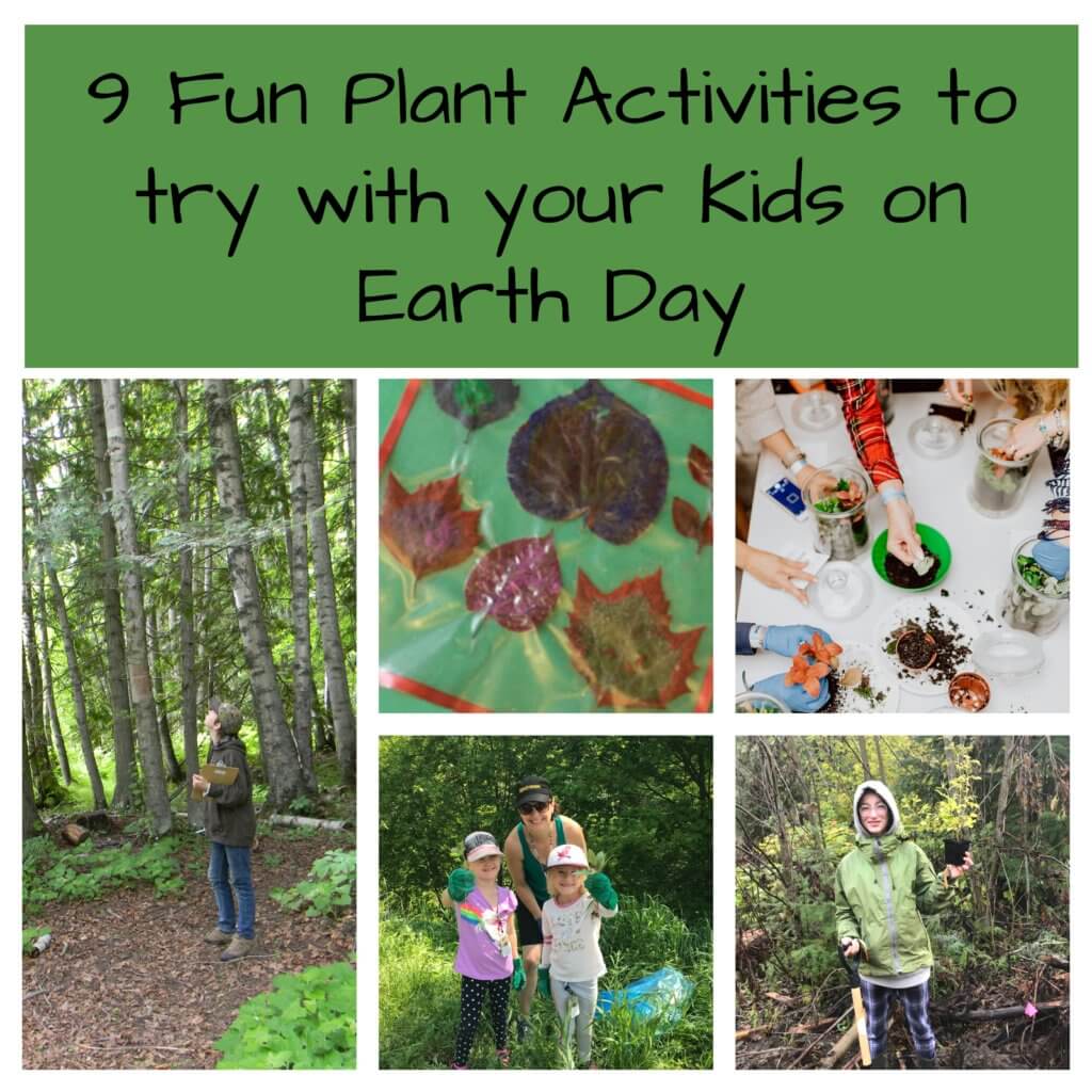 Fun Plant Activities to Try with Your Kids this Earth Month! - CKISS ...