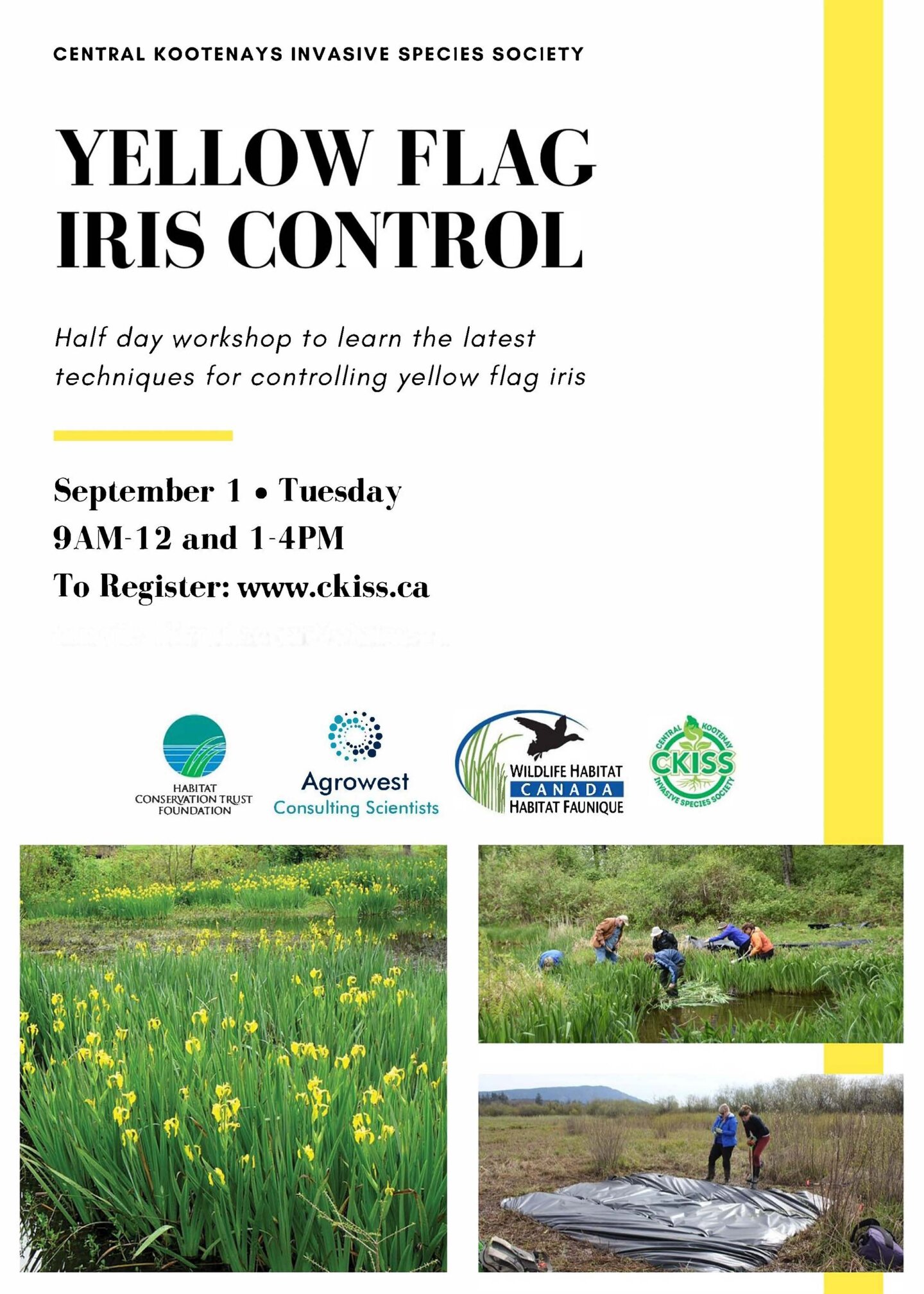 Yellow Flag Iris Flyer_CKISS - CKISS - Central Kootenay Invasive ...