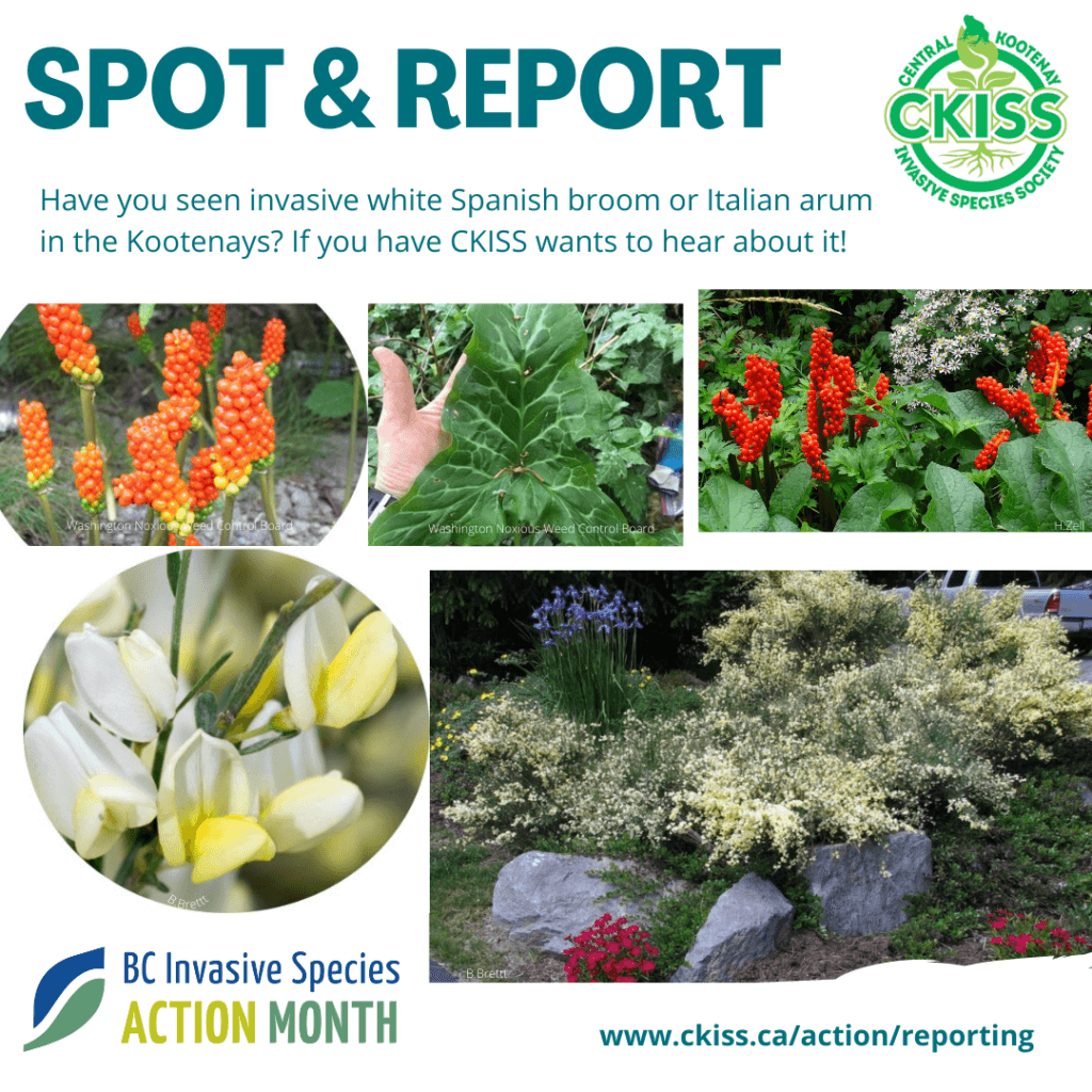 It’s Invasive Species Action Month! We encourages you to take action ...