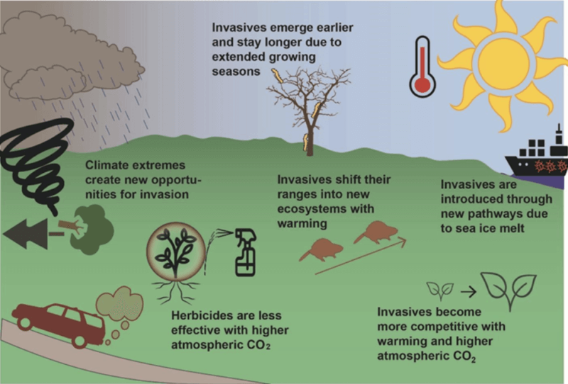 Invasive Species and Climate Change - CKISS - Central Kootenay Invasive ...