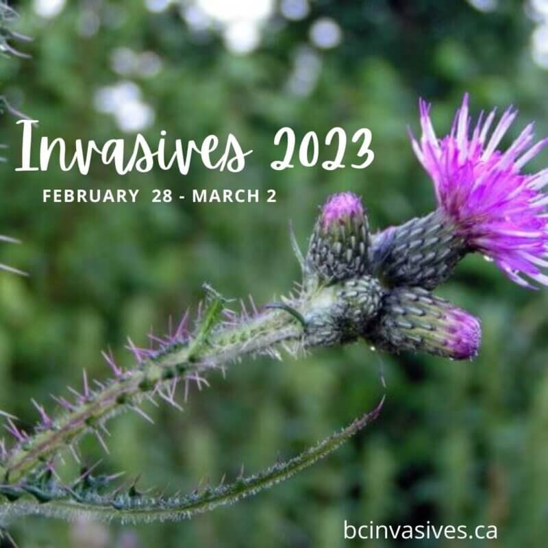 What are the impacts of invasive species? - CKISS - Central Kootenay ...