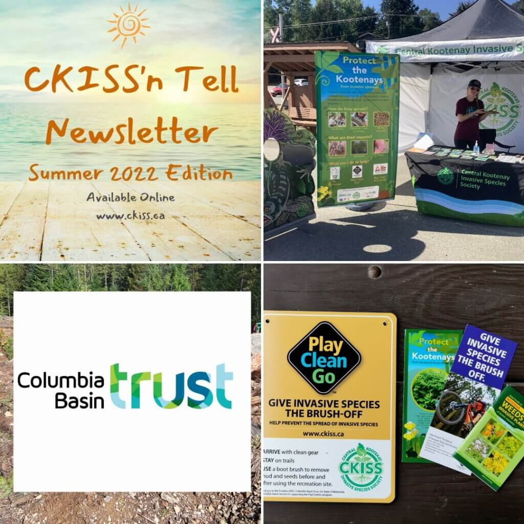 CKISS Year in Review! A digital snapshot of our 2022 supporters ...