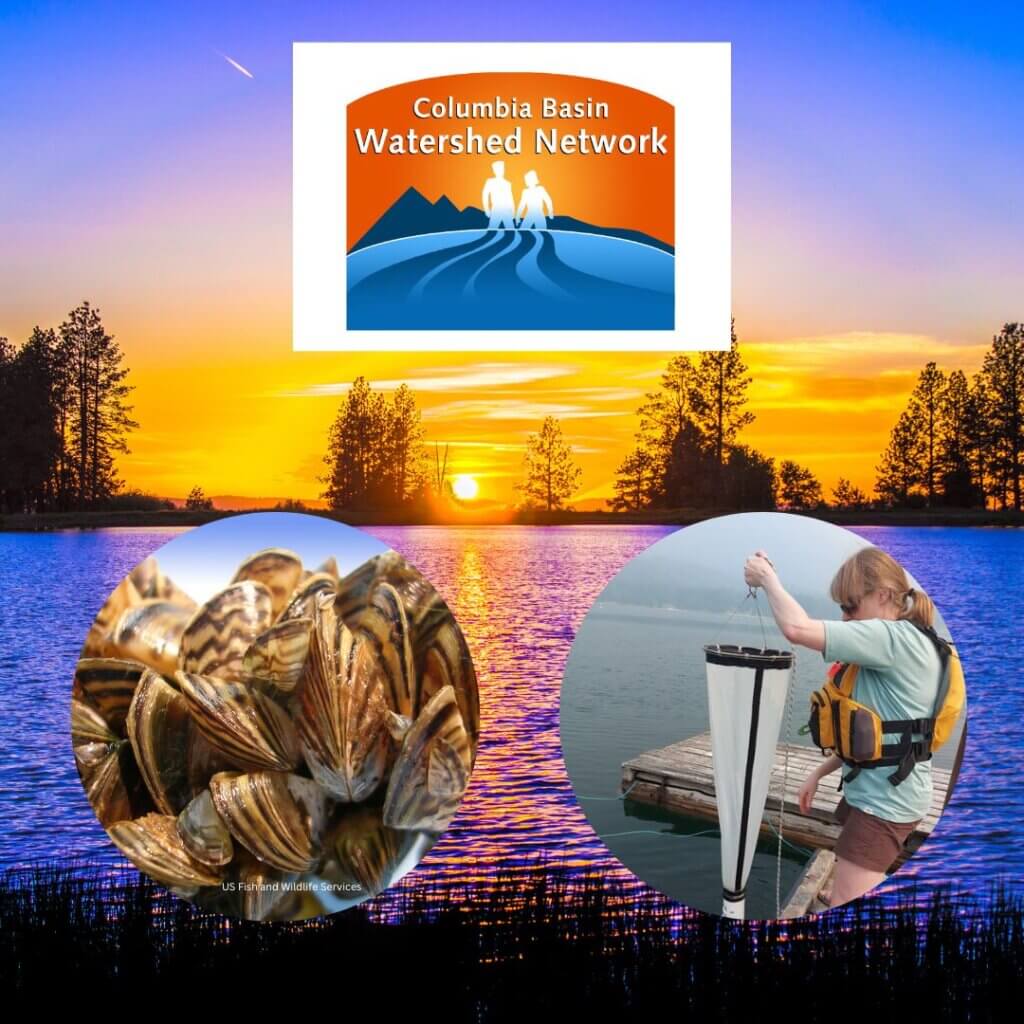 CKISS Year in Review! A digital snapshot of our 2022 supporters ...