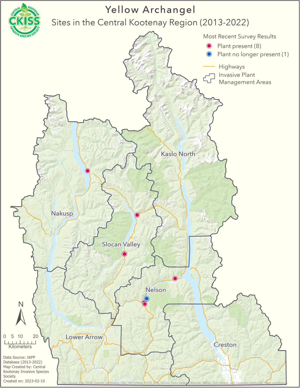 Yellow archangel - CKISS - Central Kootenay Invasive Species Society