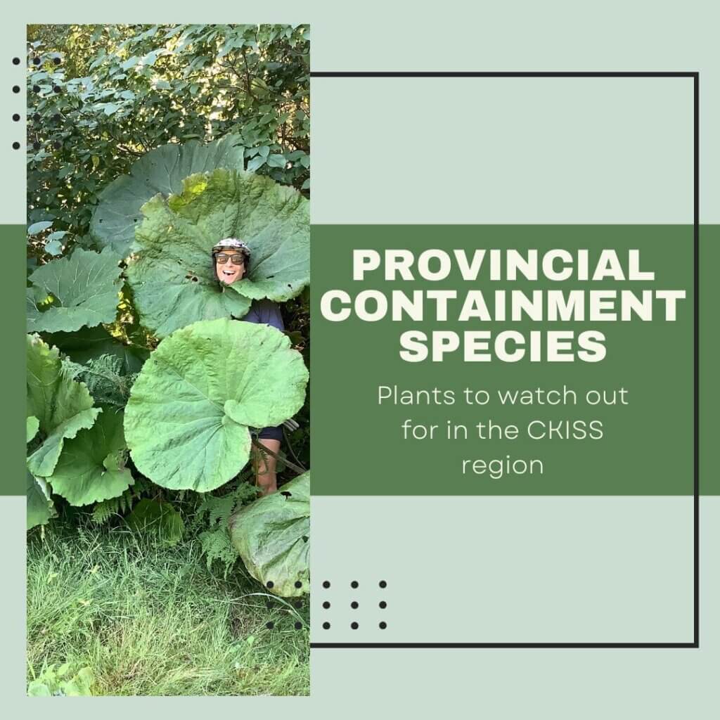 Provincial Containment Species - CKISS - Central Kootenay Invasive ...