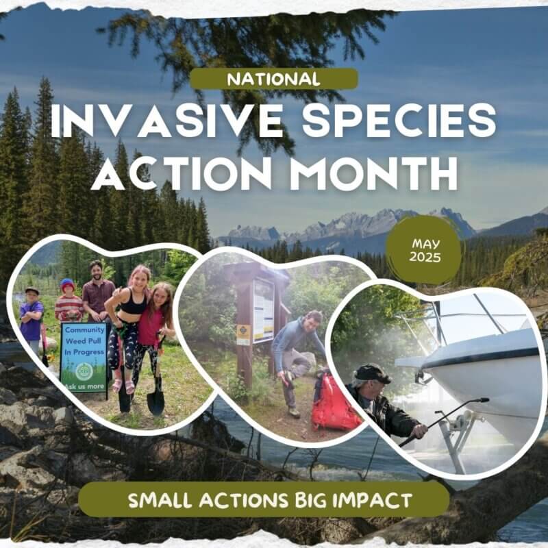 Untitled (Instagram Post) (5) - CKISS - Central Kootenay Invasive ...