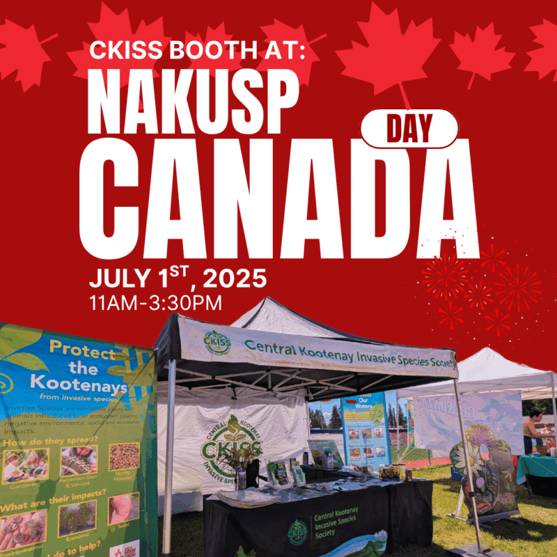 Nakusp Canada Day: CKISS Outreach Booth Attends! - CKISS - Central ...