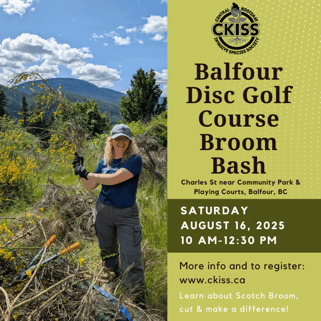Balfour Disc Golf Course Broom Bash- Saturday- August 16, 2025 - CKISS ...